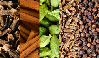 Al Nasr Spices. Al Nasr Global Trading LLP.